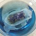 Treefrog Butterfly Pea Mint Tea Bag (style 2) - Ocean Teabag - Etsy