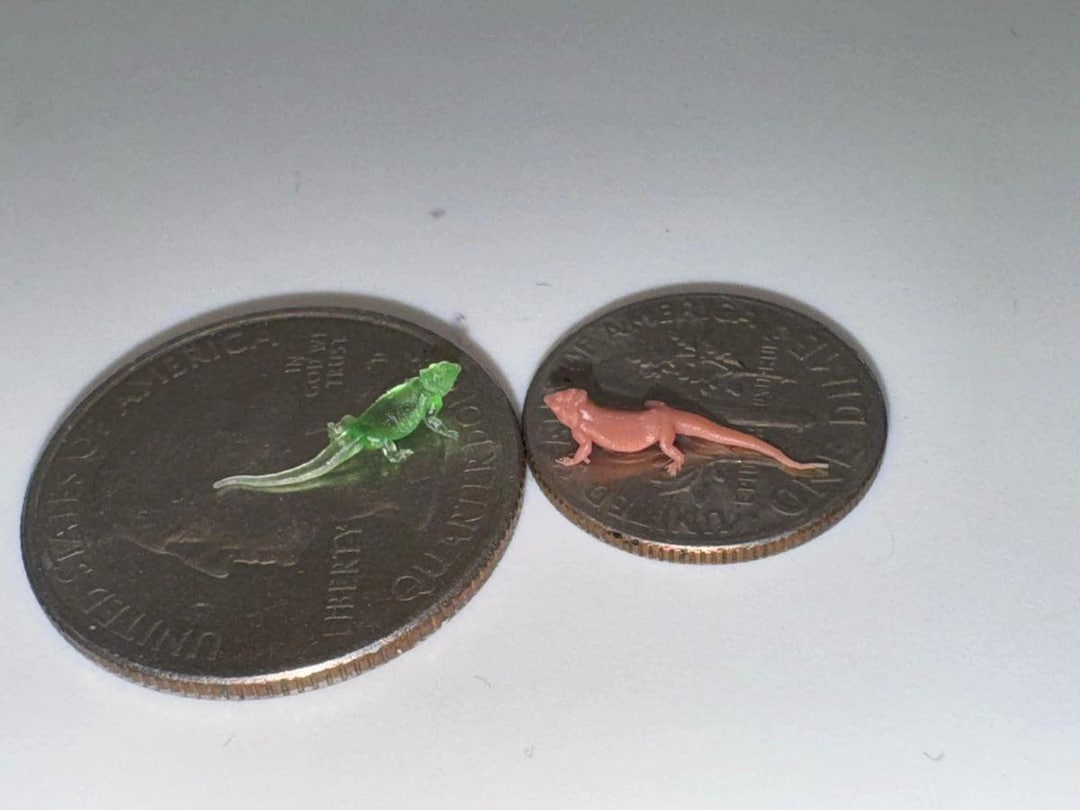 Nano Miniature Bearded Dragon ( Beardie ) - Etsy