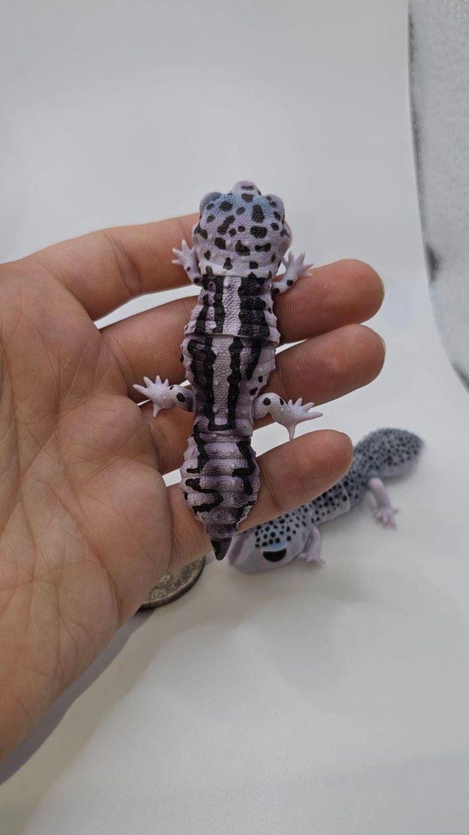 Leopard Gecko Gachapon Figure Set 2 - Etsy