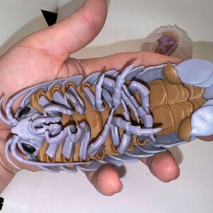 Deep Sea Isopod Dango Mushi Gachapon Figures Set 11 - Etsy