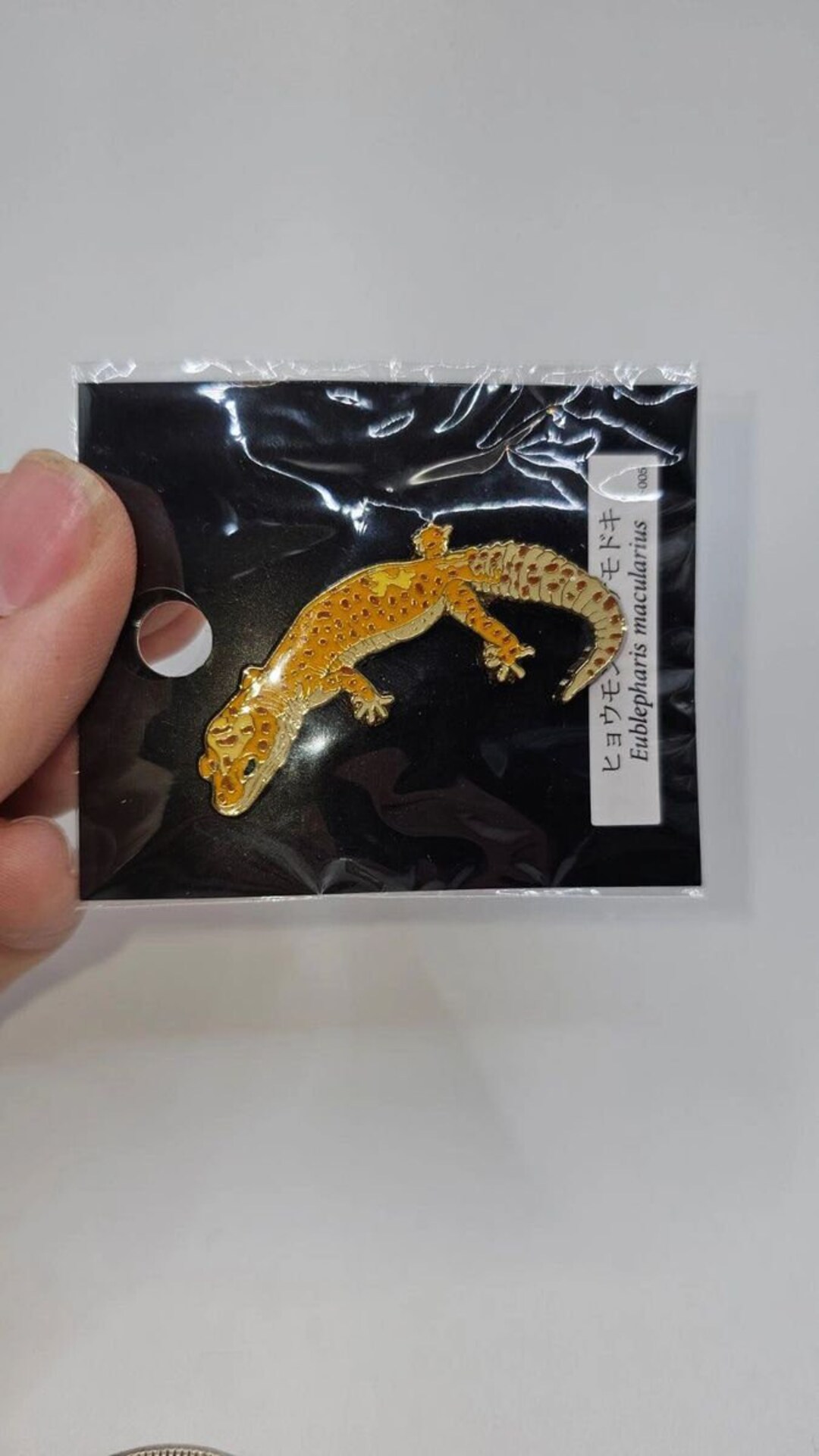 Leopoard Gecko Pin Badge From Japan - Etsy