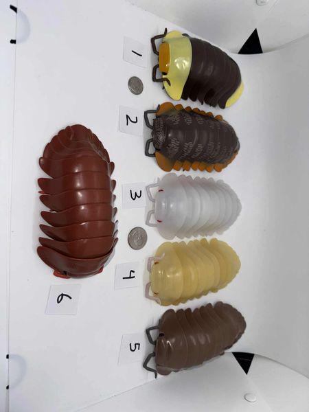 Cubaris Isopod Bandai Gachapon Figures From Japan - Etsy