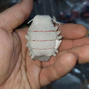 Tiny Isopod Plush Magnet - Etsy