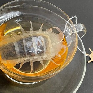 Ocean-teabag Gift Set (10 Types) - Ocean Teabag - Etsy