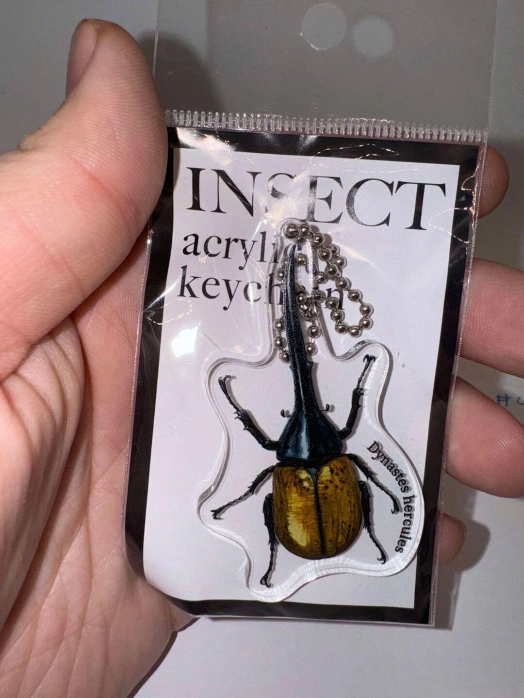 Hercules Beetle Acrylic Keychain From Japan - Etsy