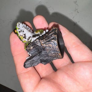 Japanese Toad Gachapon Figure - Etsy