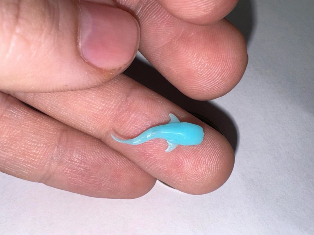 Nano Whale Shark Miniature Model - Etsy