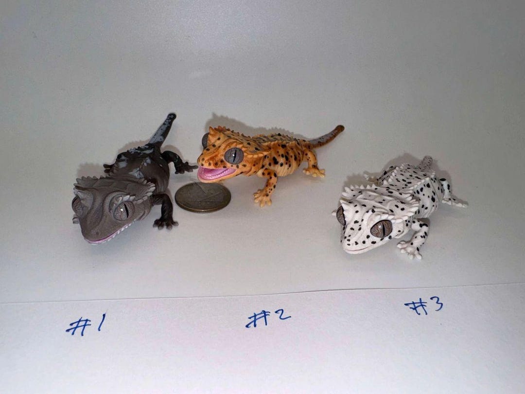 Cute Crested Gecko Gachapon Figure Set 2 - Etsy