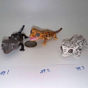 Cute Crested Gecko Gachapon Figure Set 2 - Etsy