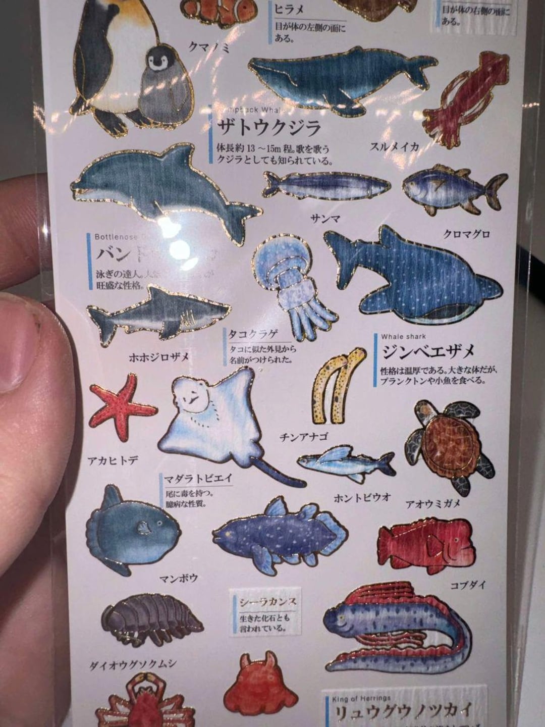 Japanese Sea Creature Stickers - Etsy
