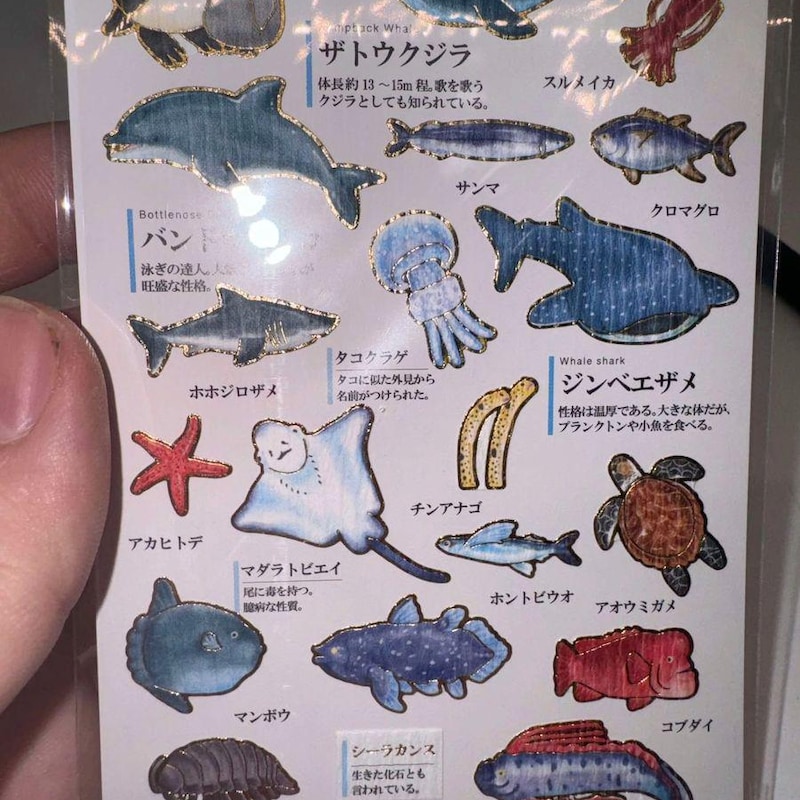 Juminocore Stickers - Etsy