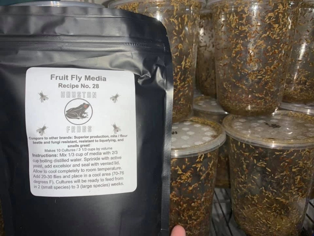 Fruit Fly Media - Etsy