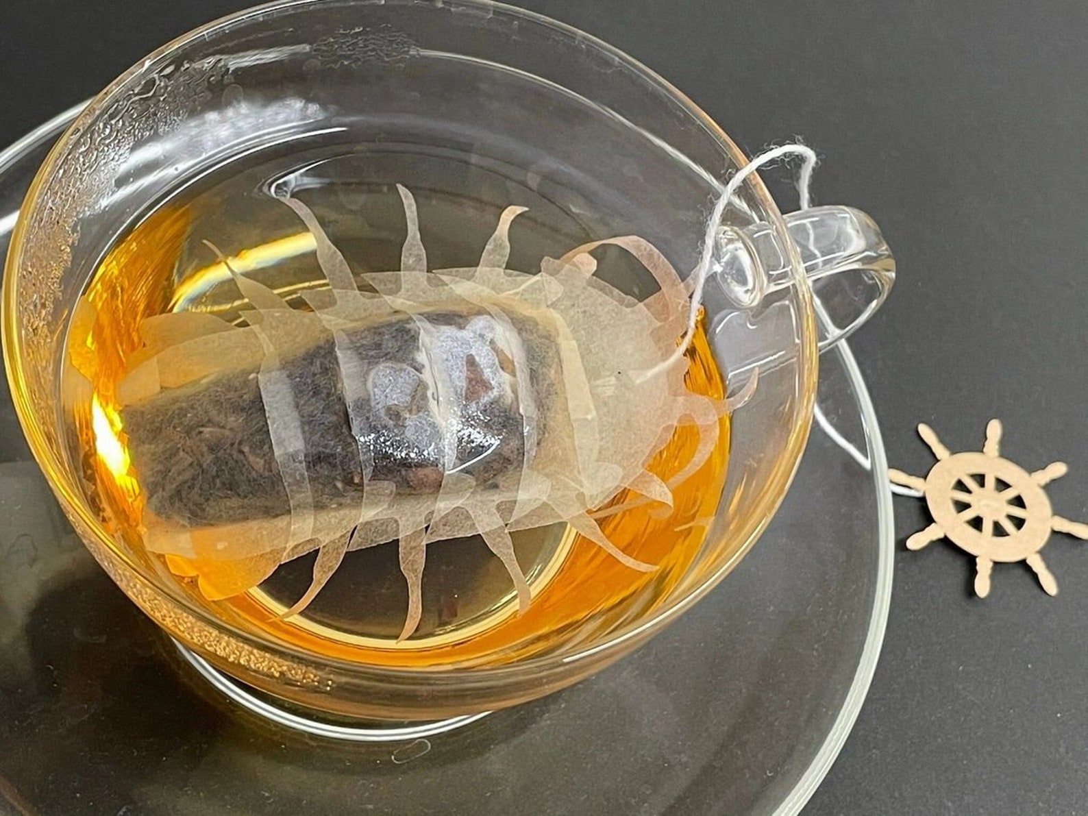 Ocean-teabag Gift Set 10 Types Ocean Teabag - Etsy