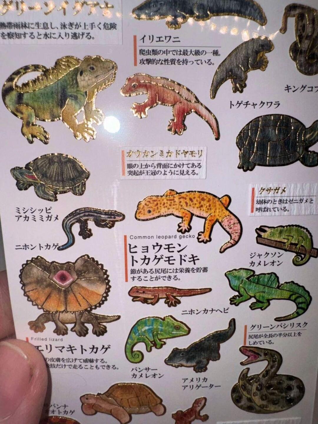 Japanese Gecko Stickers - Etsy