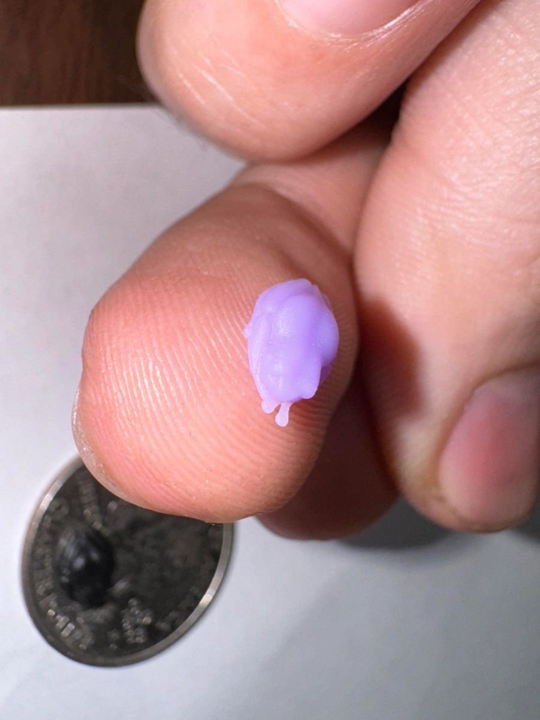 Nano Whites Tree Frog Miniature Model - Etsy