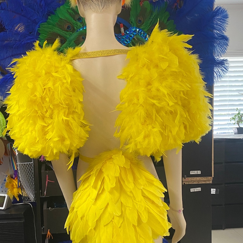 Bird Wing Costume - Etsy