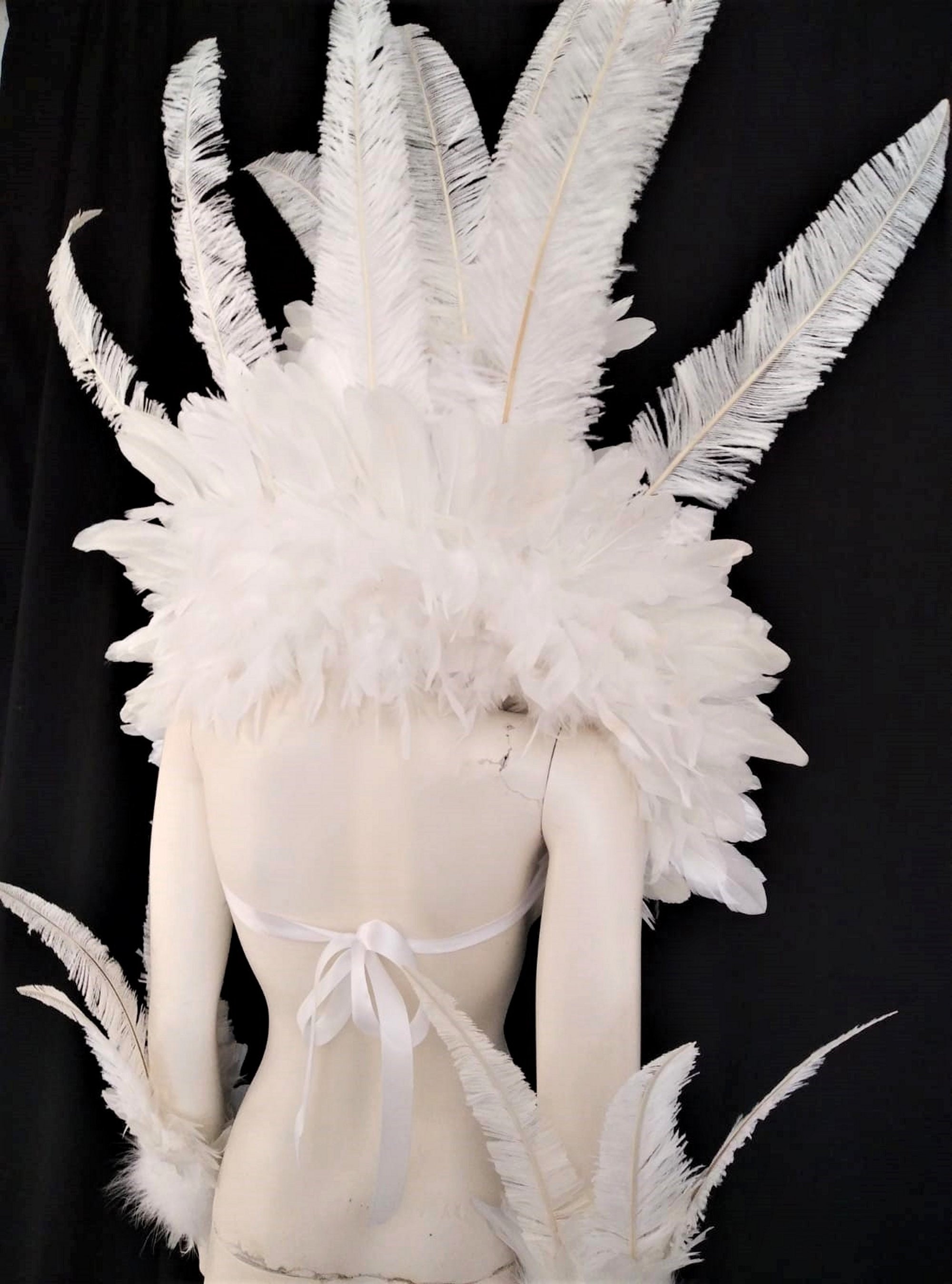 Iridescent Crown Headdress With Collar Samba Costume Feather Piece ...