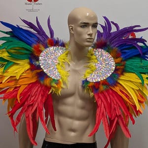 Multi-color Rainbow Carnival Costume Feathers Samba Costume Fantasy ...