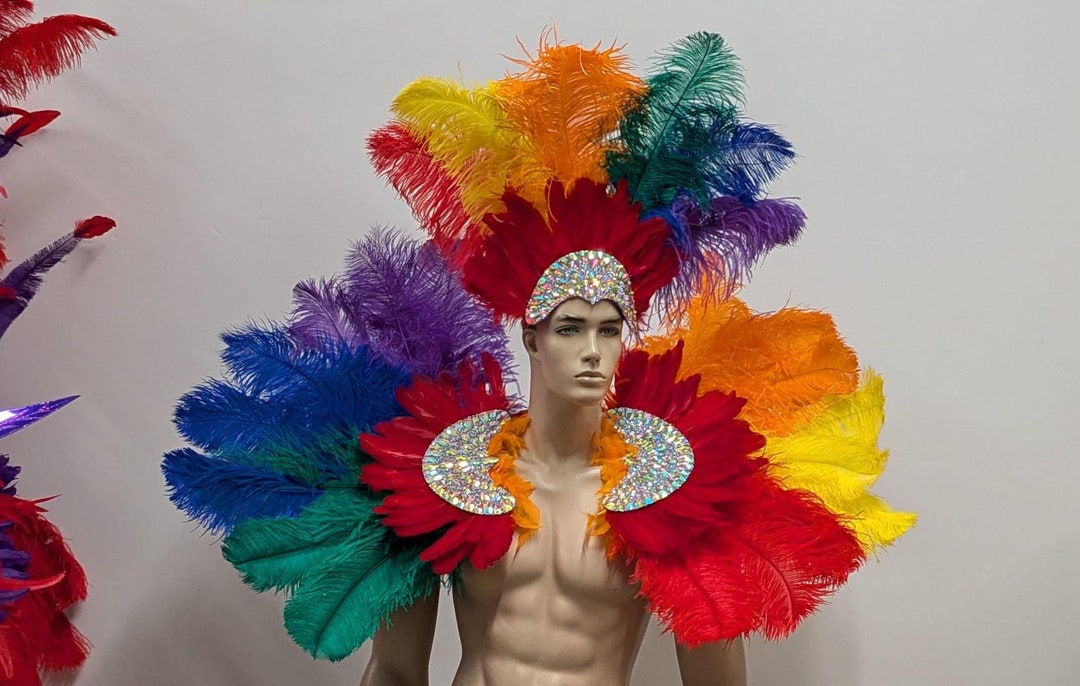 Multi-color Rainbow Carnival Costume Feathers Samba Costume Angel Wings ...