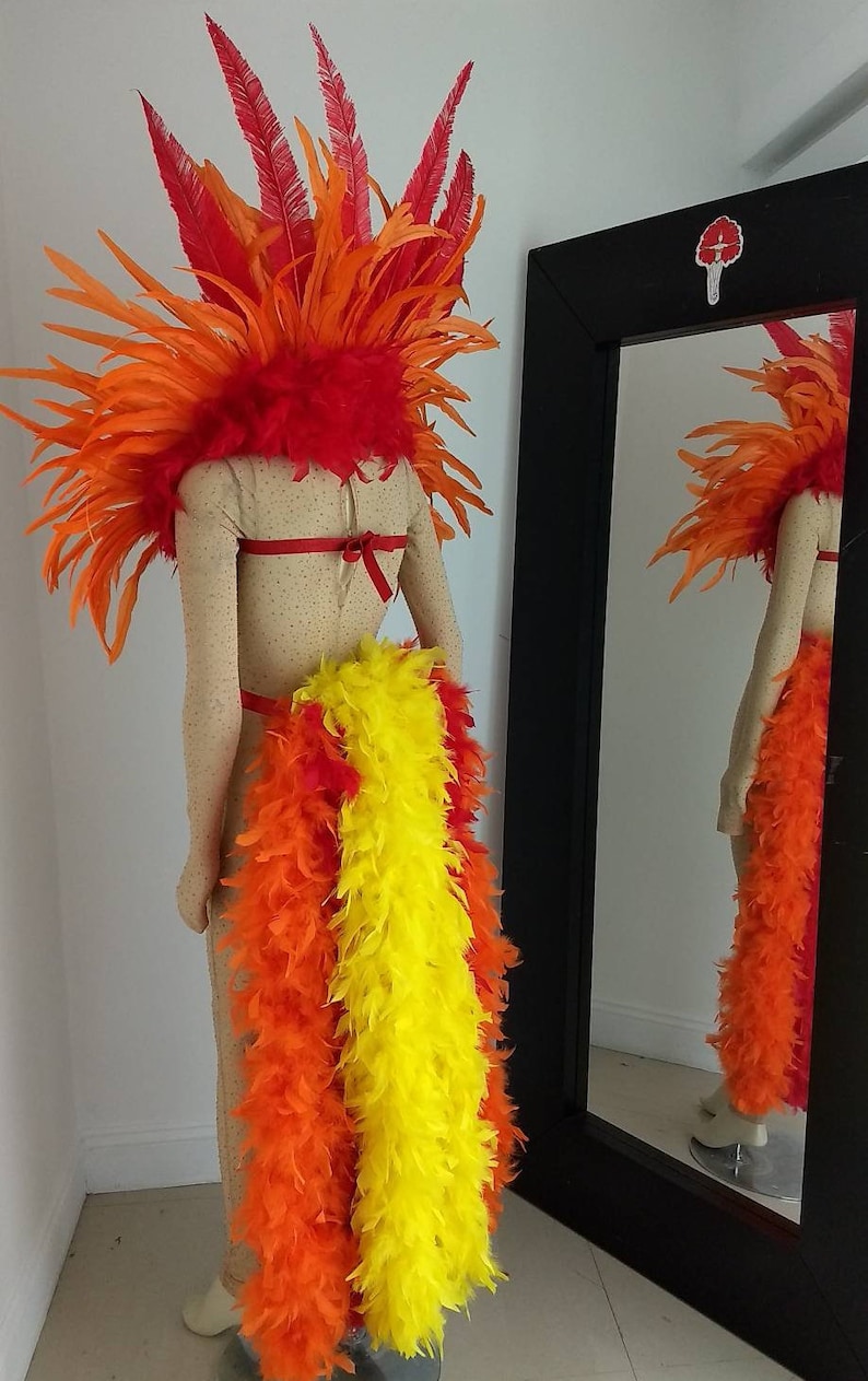 Fire Colors Phoenix Feather Collar Piece and Feather Tail Bustle ...