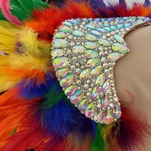 Multi-color Rainbow Carnival Costume Feathers Samba Costume Fantasy ...