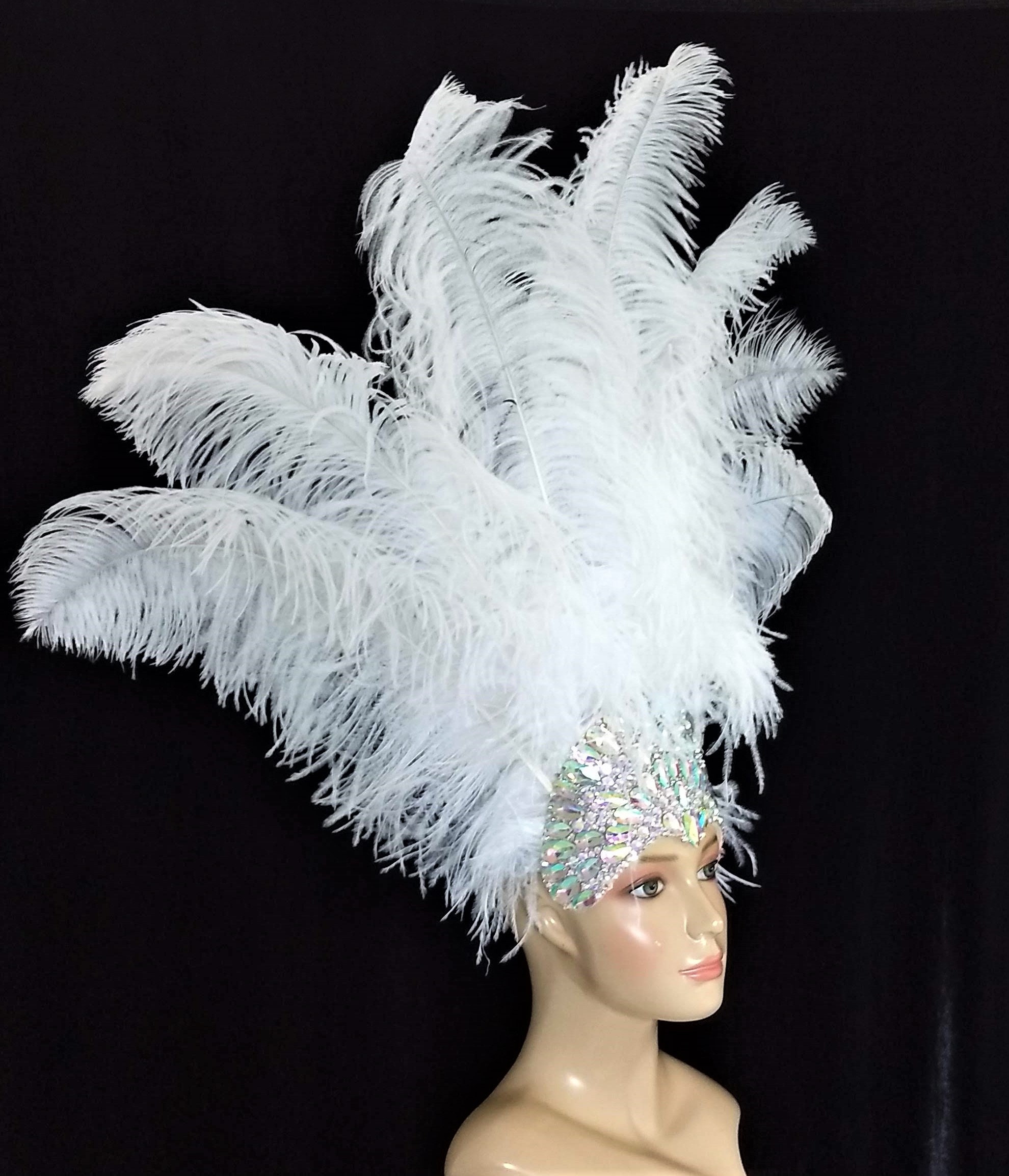 Full Size Prime Ostrich Wing Feathers Plumes Carnival Headdress ...