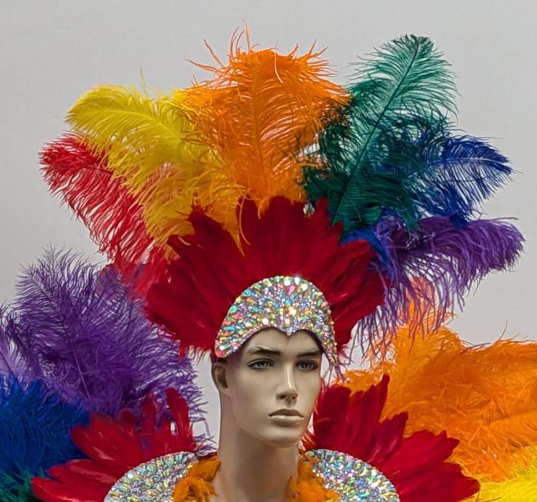 Multi-color Rainbow Carnival Costume Feathers Samba Costume Angel Wings ...