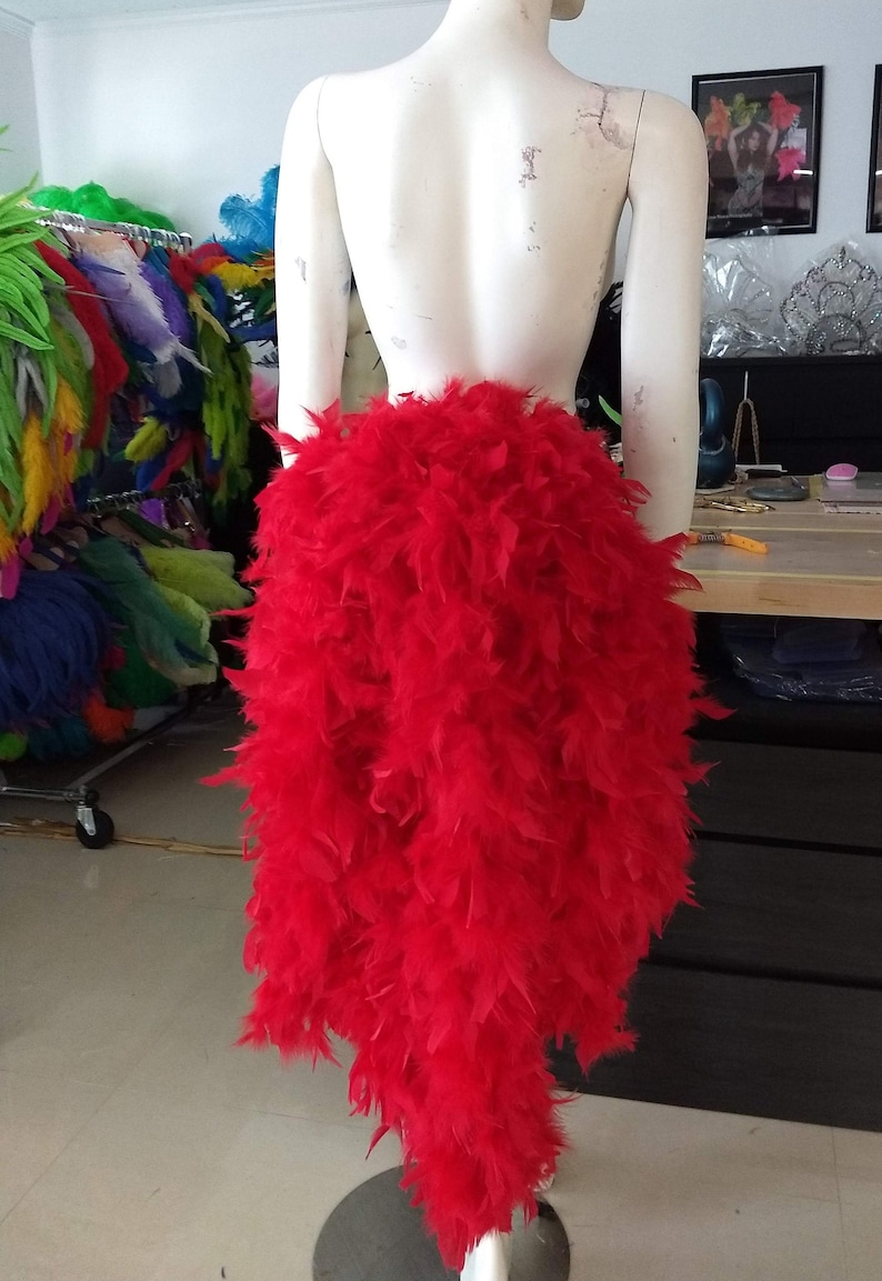 Large Long Feather Tail Fan Tail Back Cover Feather Back Piece Bustle ...