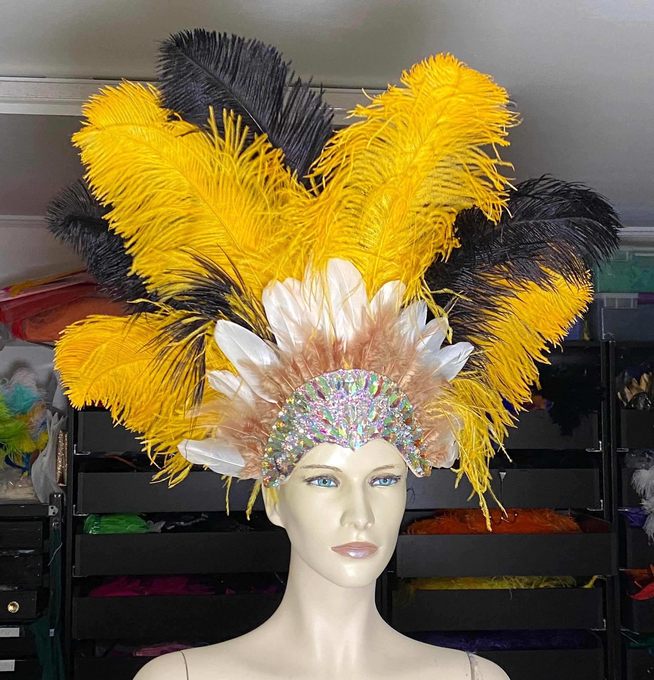 Two Color Full Size Prime Ostrich Wing Feathers Plumes Carnival ...