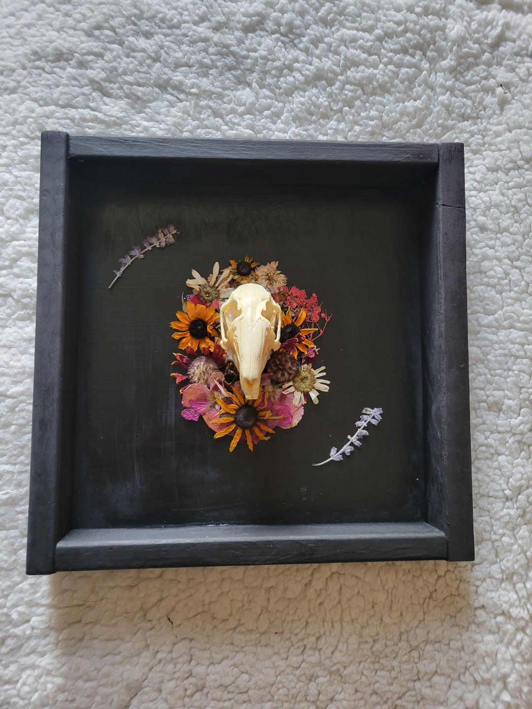 Rabbit Skull, Repurposed Shadow Box Art, Real Dried Flowers, Found in ...