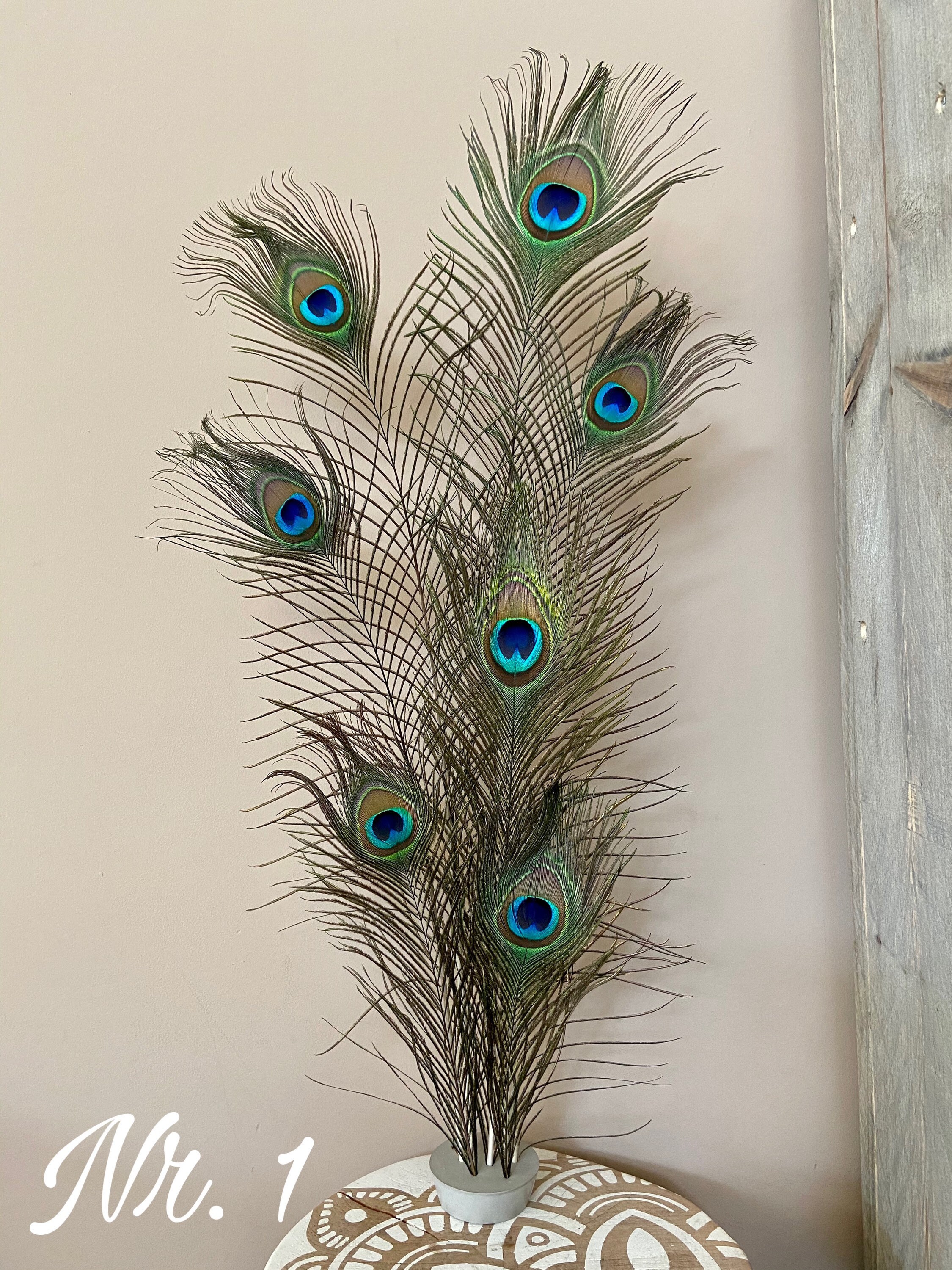Peacock Decorating Ideas For Office