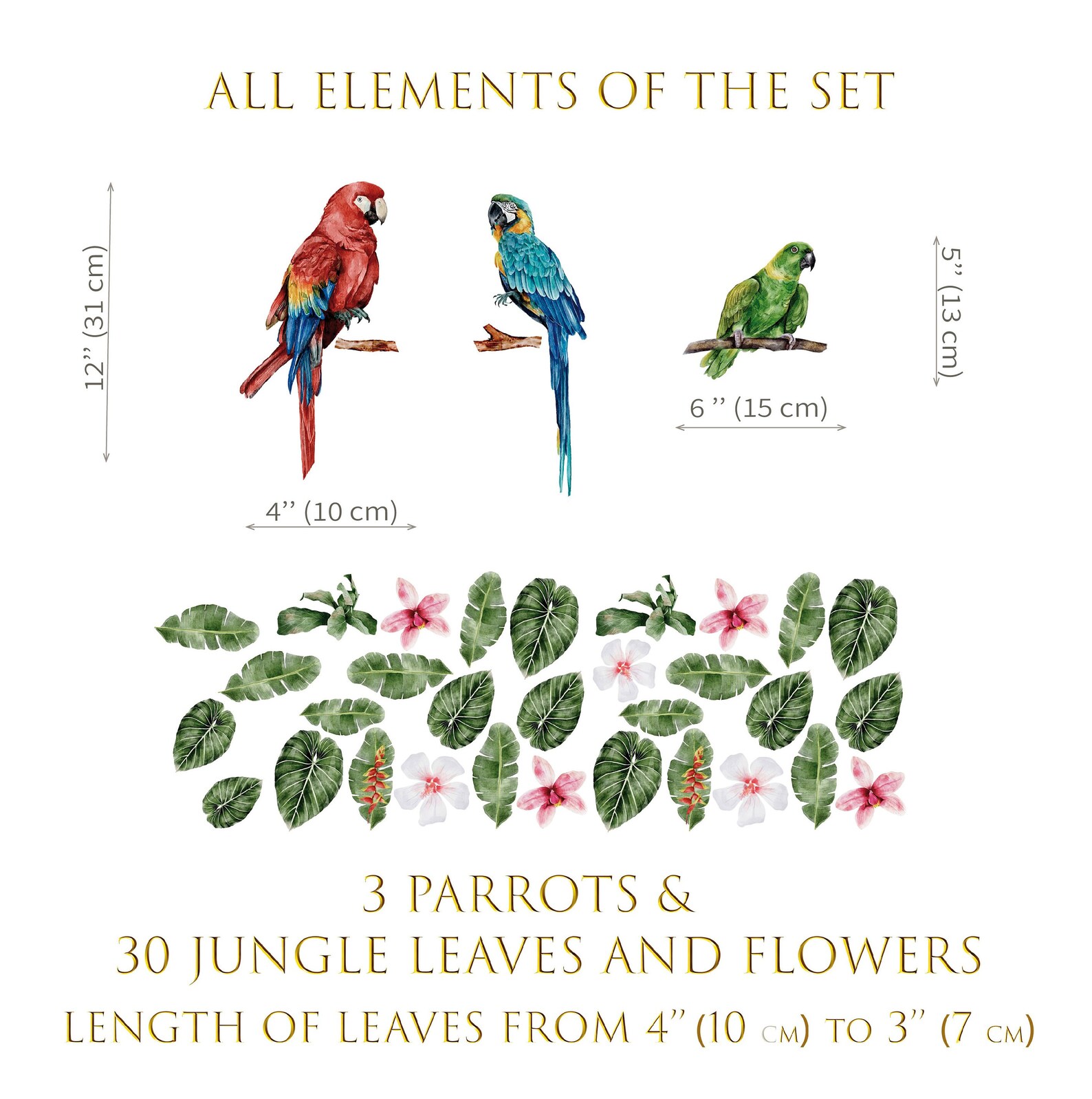 Parrot Wall Decal Jungle Wall Decal Jungle Birds Wall - Etsy