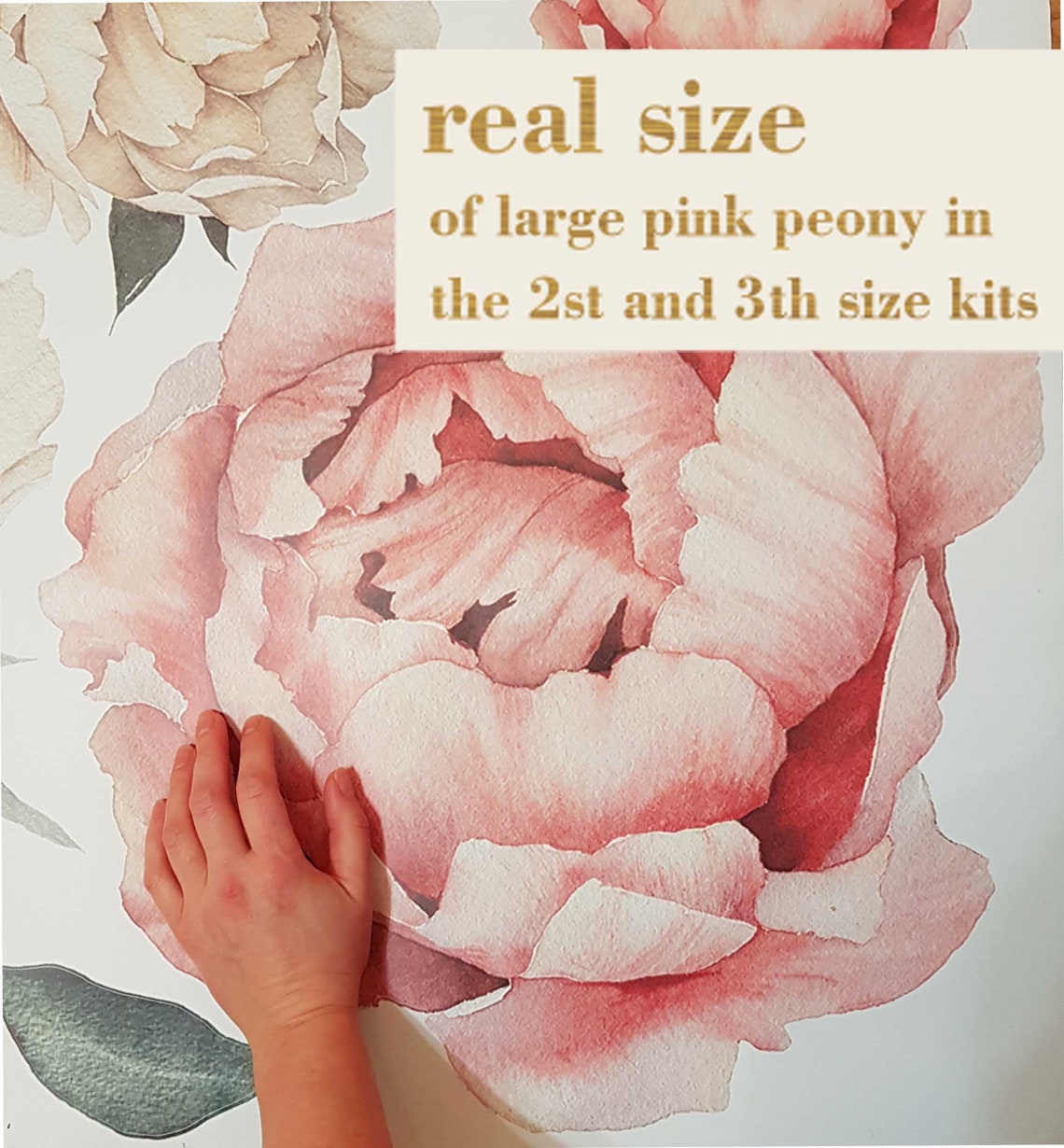 Floral Wall Decal Large Flower Wall Decal Peony Wall Decals - Etsy