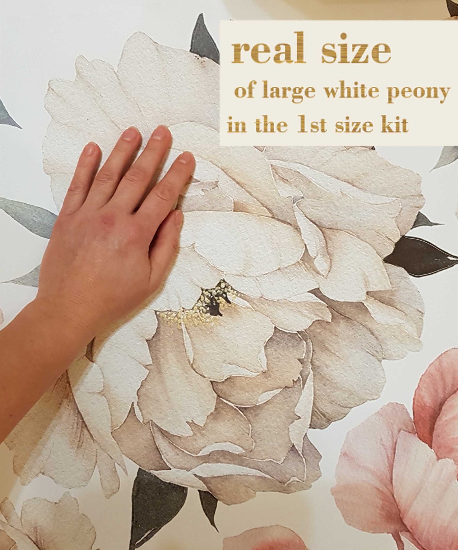 Floral Wall Decals Peony Flowers Wall Decals Peony Floral - Etsy