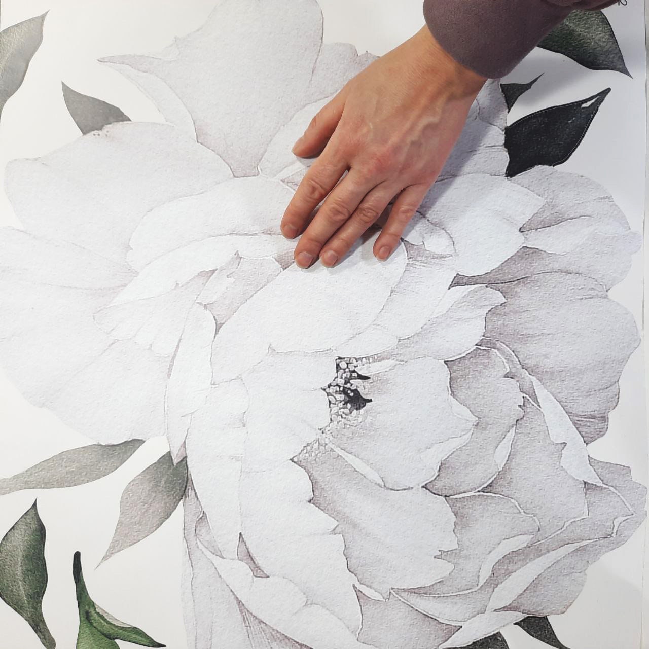 16 Large Peonies Wall Decals Mix Flower Wall Decals Peony - Etsy