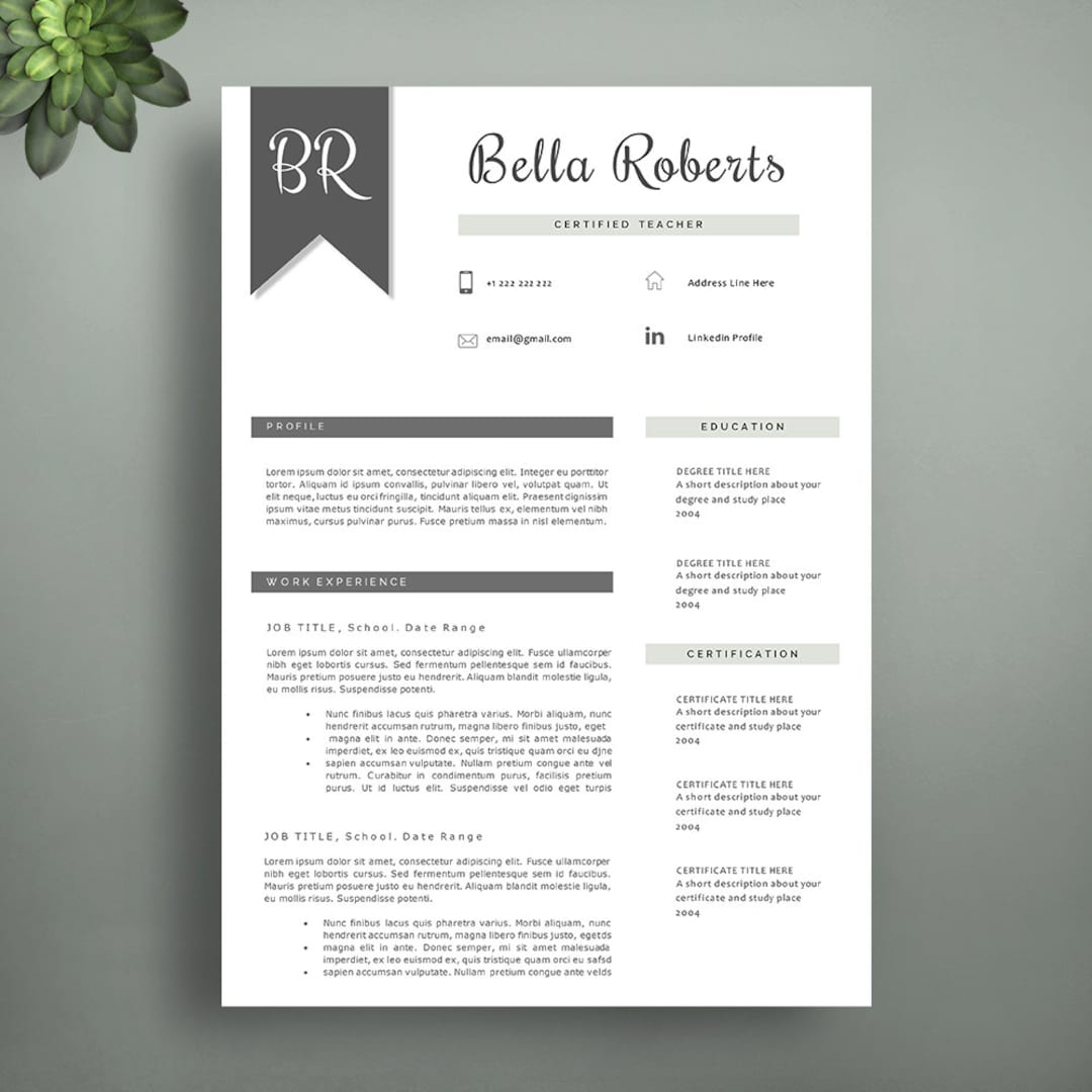 Teacher Resume Template for Word and Pages, Professional Resume ...