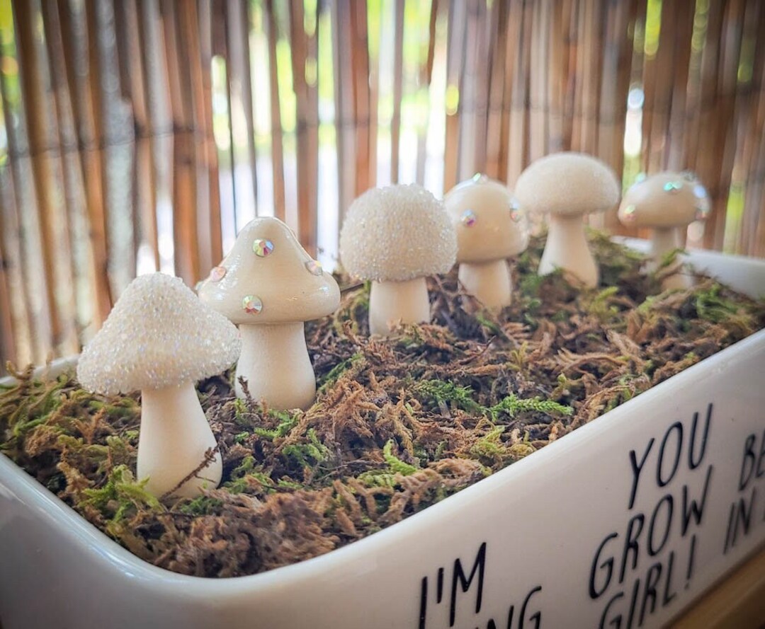 Shroomies Plant Decor | Mushroom Decor | 6 Pc SET | Plant Accessories ...