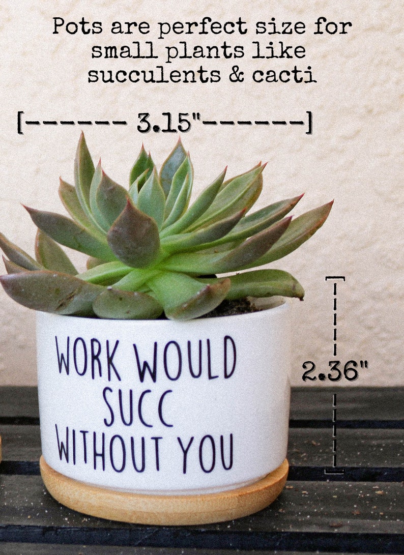 Funny Succulent Pot Cactus Pot Small Planter With Drainage - Etsy