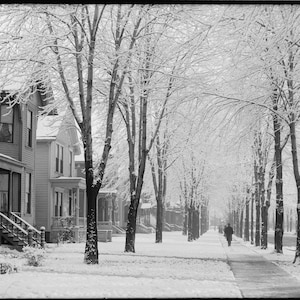 Street in Winter Snow on Trees Lonely Neighborhood Cityscape Instant ...