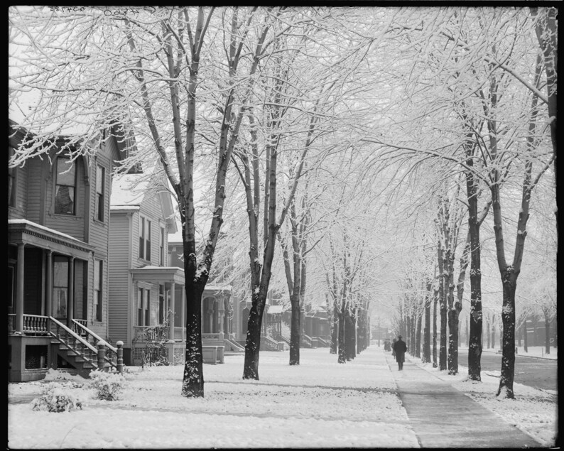 Street in Winter Snow on Trees Lonely Neighborhood Cityscape Instant ...