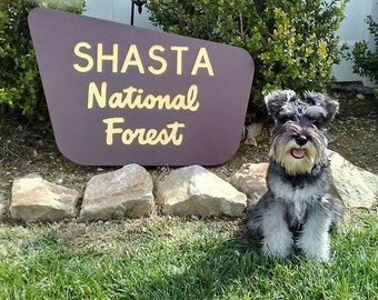 National forest sign | Etsy