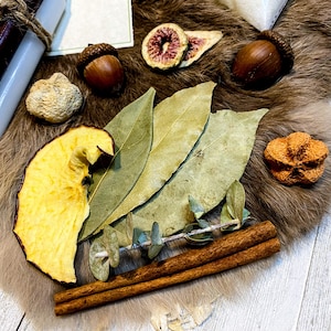 Mabon / Autumn Equinox Altar & Rituals Set / Fall Gift Set - Etsy