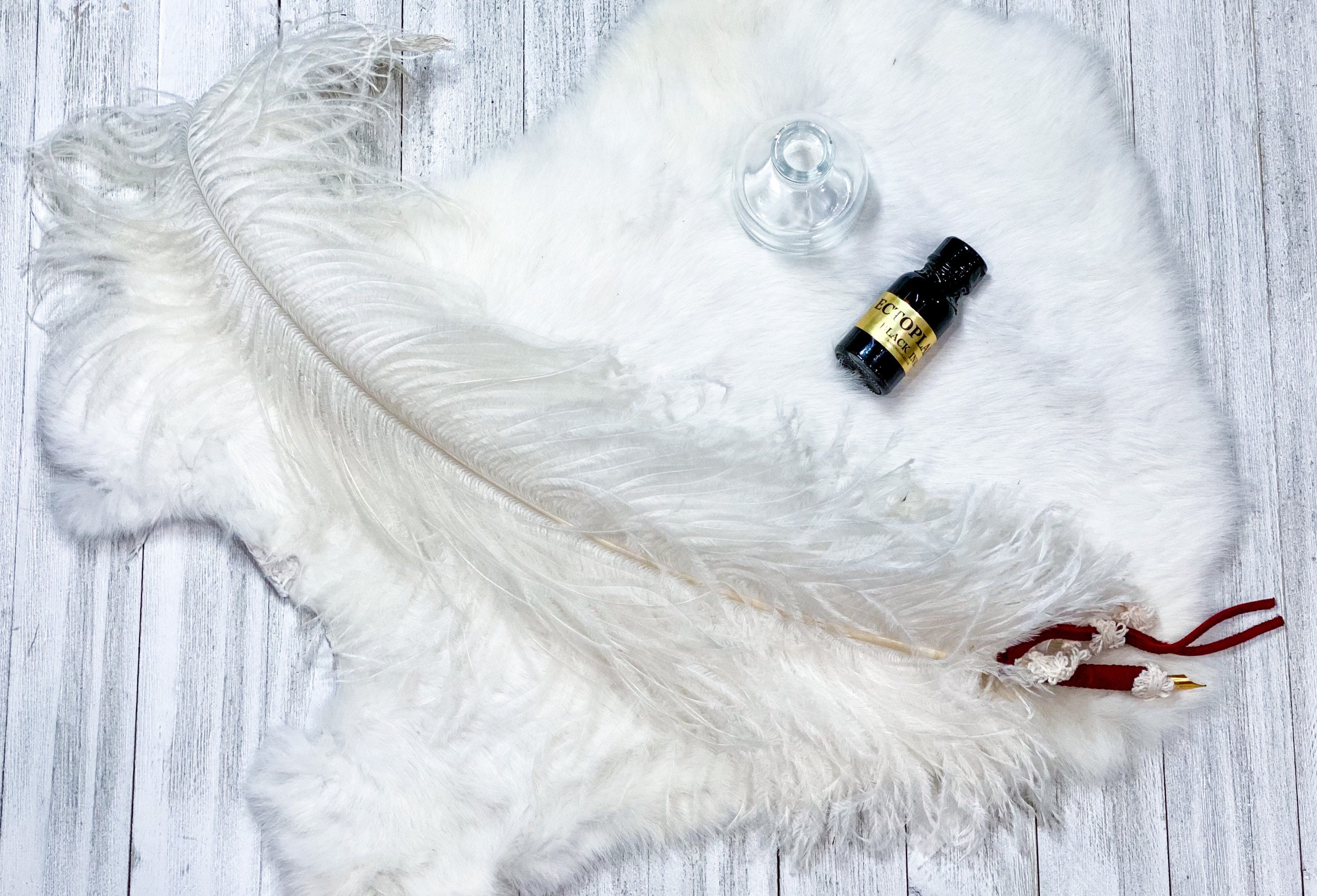 Letters to Odin Ostrich Quill - Victorian Feather Quill/Quill Pen