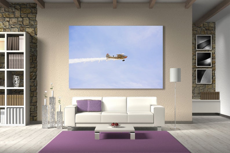 Cessna Airplane Wall Art, Bird Dog Airplane Print, Flying Airplane ...