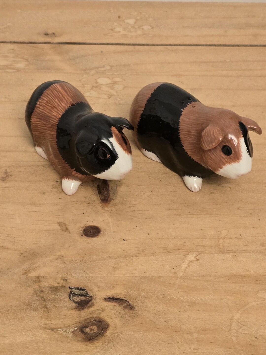 Vintage Quail Pottery Guinea Pig Salt and Pepper Shakers Cruet Set ...