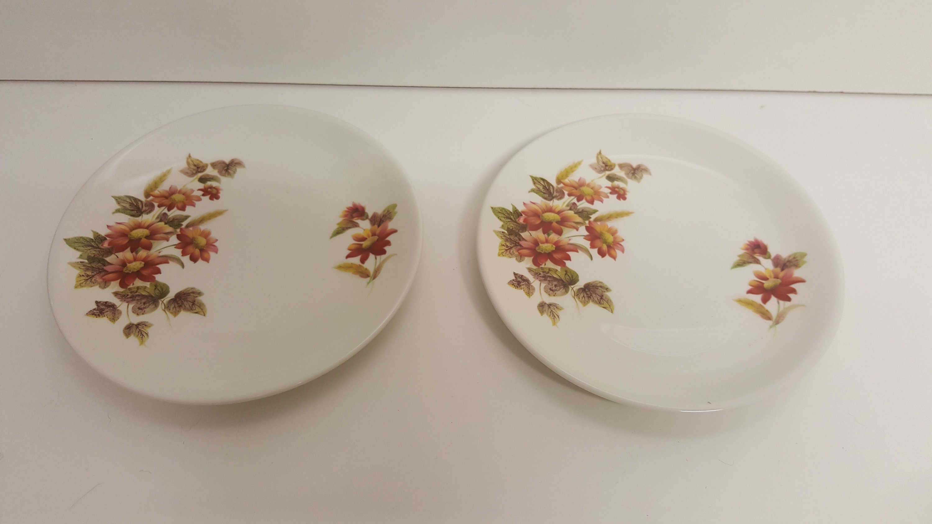 Vintage Myott China Ambleside Pattern Set of 2 Tea Plates 7 3/4 Inches ...