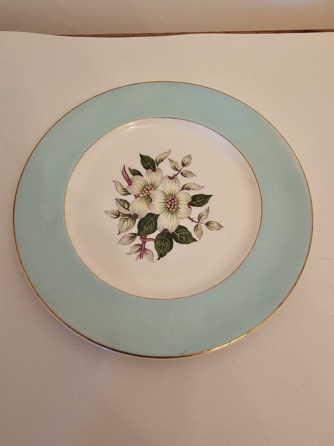 Johnson Brothers Pistachio Rim Centre Flowers Gilt Edge Snowhite Range ...