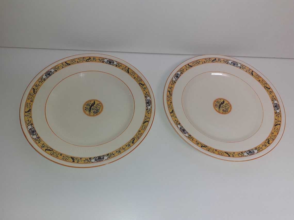 Myott China Birdette Pattern 1762 Set of 2 Dinner Plates 10 Inches - Etsy