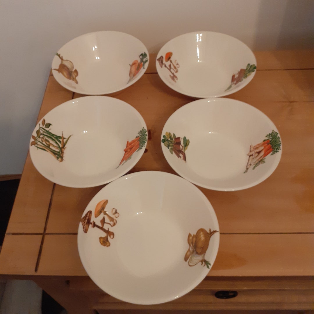 Vintage Scottish Pottery Borderland Hawick Set of 5 Soup Pudding Bowls ...