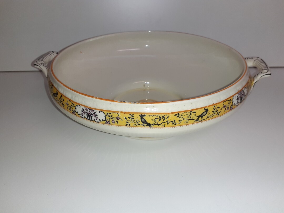 Myott China Birdette Pattern 1762 Serving Dish Base 8 1/2 Inches - Etsy